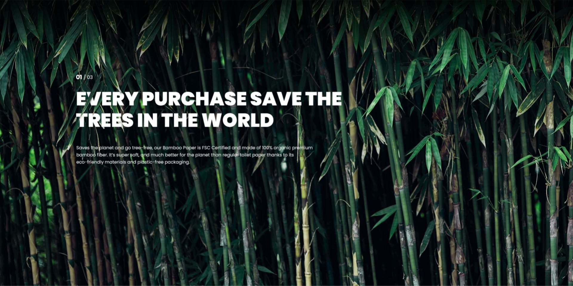 China Leading Manufacturer of Professional Bamboo Pulp, Wood Pulp ...