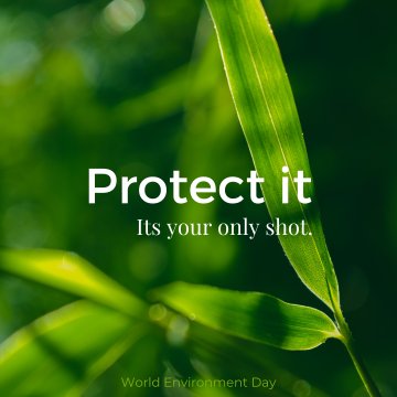 The FSC Seal of Approval: Understanding Our FSC Certified Bamboo Toilet ...